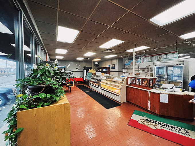 The red tile floor and no-nonsense interior tell you immediately: this place prioritizes substance over style, and your taste buds will thank you for it.