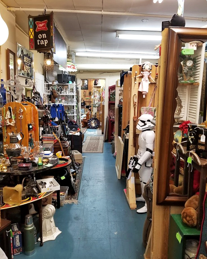 Down the rabbit hole you go! These narrow pathways between vendor booths create a treasure hunt atmosphere where surprises await around every corner.