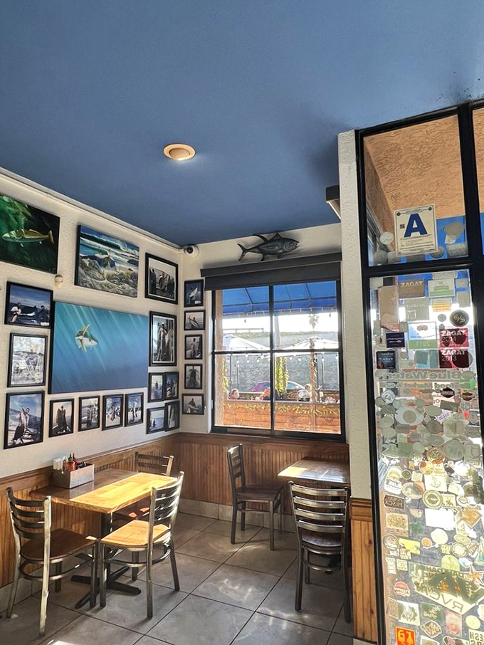The blue ceiling and fishing photos create a dining room that feels like being inside an aquarium&mdash;except you're eating the exhibits. Maritime charm without the seasickness.