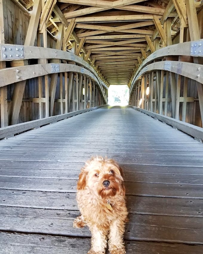 Even furry companions appreciate the architectural marvel&mdash;this pup knows a good photo op when they see one.