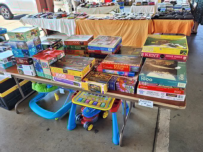 Puzzle paradise! These boxed brain-teasers promise hours of coffee table frustration followed by the sweet victory of finding that elusive corner piece.