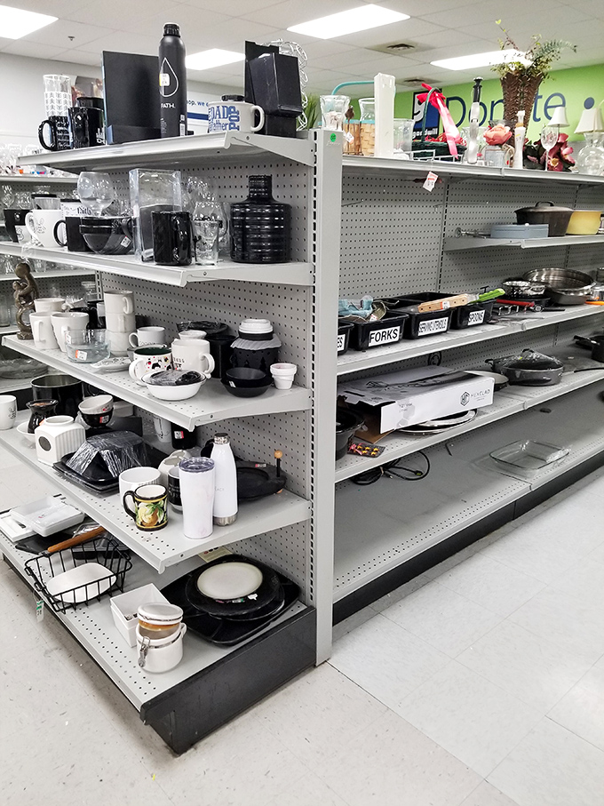 Kitchen treasures await the discerning eye &ndash; that perfect mug or vintage Pyrex might be hiding between ordinary plates and bowls.