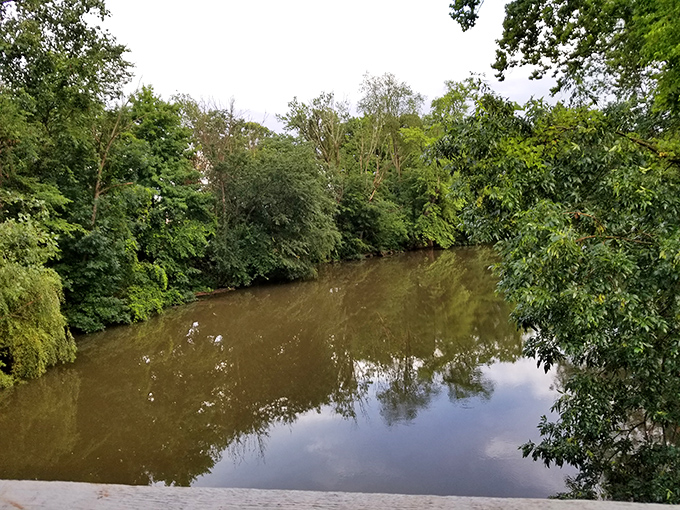 The gentle flow of the river continues its patient journey, completely unimpressed by our modern obsession with immediate gratification and instant downloads.