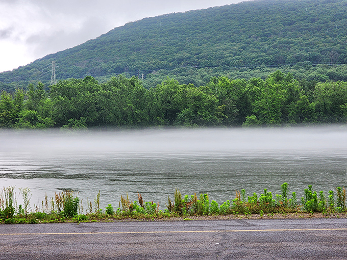 Morning mist doesn't just rise&mdash;it dances across the water, transforming an ordinary river view into something straight from a fantasy novel.