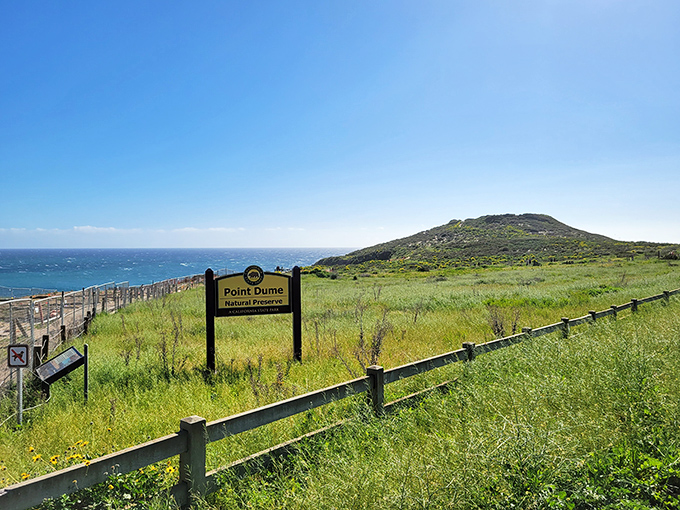 "Point Dume Natural Preserve"&mdash;four words that translate to "put down your phone and look around" in every language on Earth.