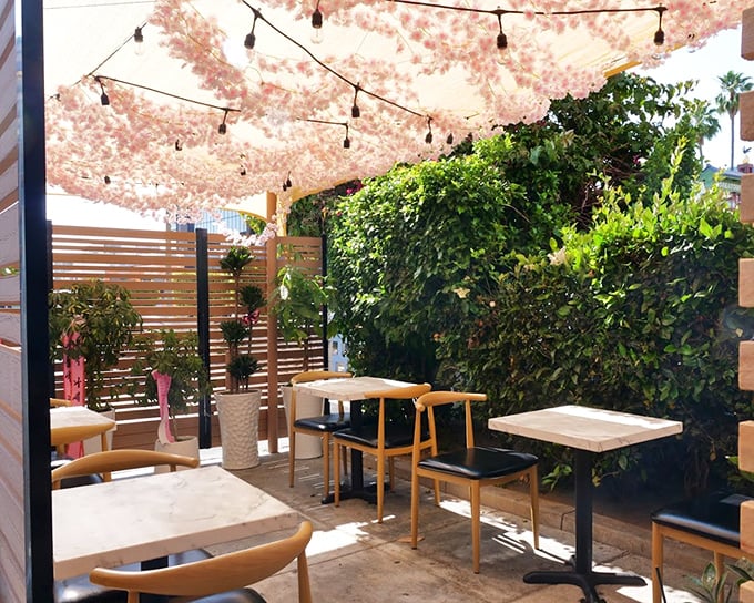 Their outdoor seating area offers a cherry blossom canopy that transforms lunch into a scene from a Japanese romance film.
