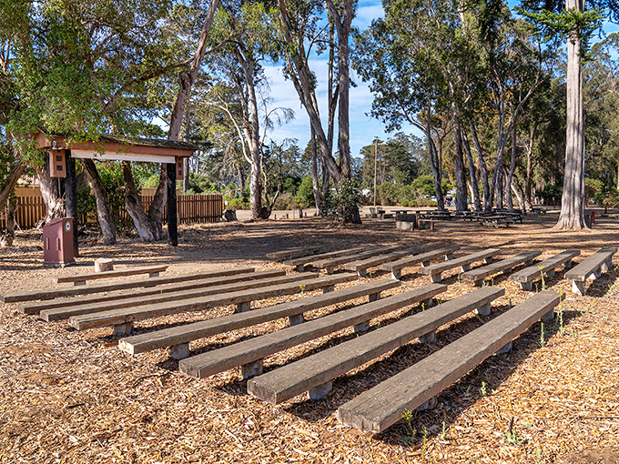 This rustic amphitheater among the eucalyptus trees proves that Mother Nature designed the best entertainment venues long before we tried.