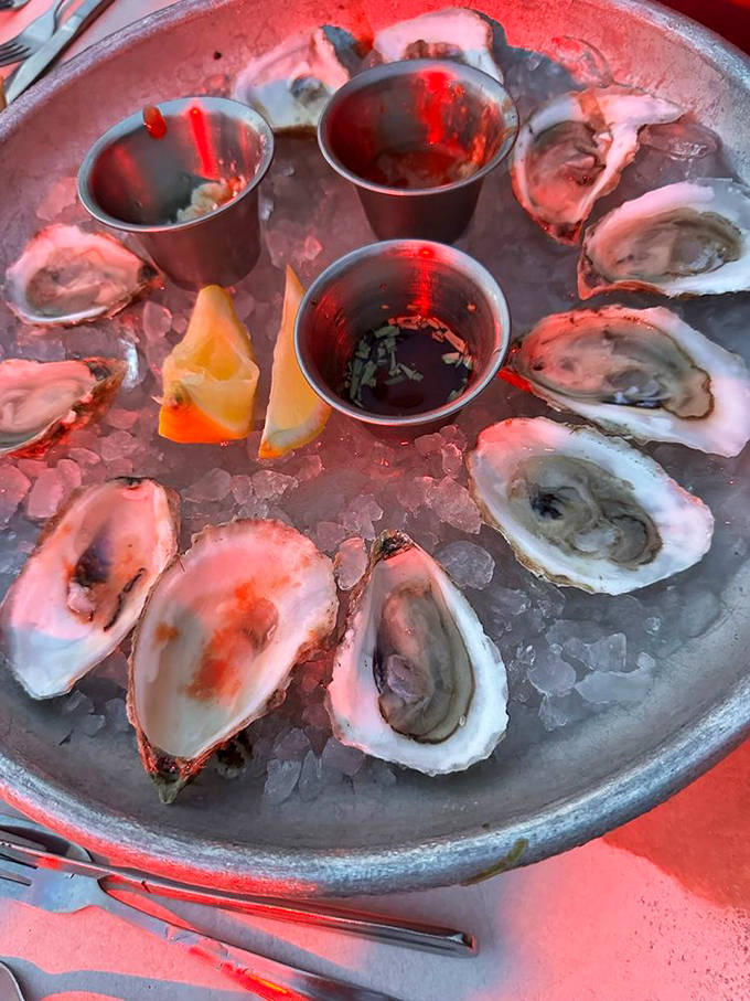 Oysters so briny and perfect, they taste like the Gulf decided to send personal love letters.