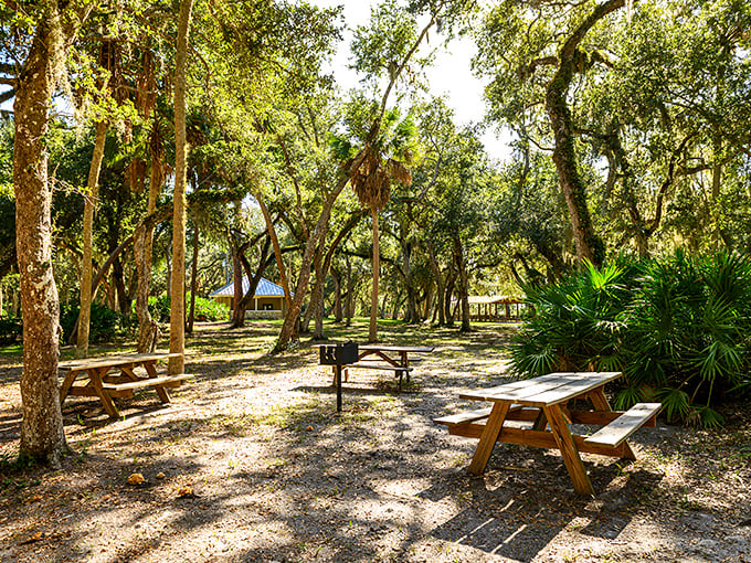 Lunch with a view: These shaded picnic tables offer the perfect spot to enjoy a sandwich while surrounded by Florida's finest greenery.