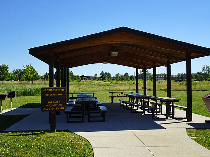 The Acorn Shelter stands ready for family gatherings, where potato salad is currency and memories are the real treasure.