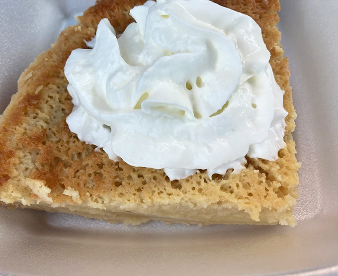 This slice of pie topped with a cloud of whipped cream isn't just dessert; it's the reason elastic waistbands were invented.