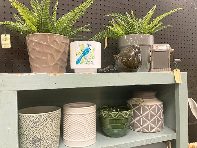 These aren't just planters&mdash;they're potential homes for the houseplants you'll inevitably kill. The cycle of plant life continues at $4.99 each.