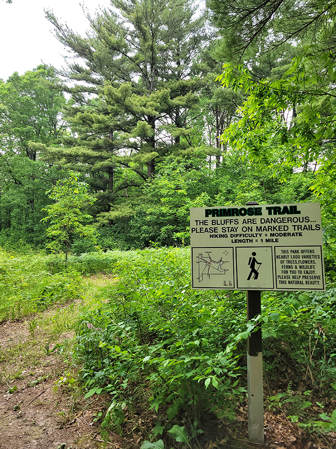 The Primrose Trail sign doesn't just mark a path&mdash;it offers an invitation to adventure with a side of caution.