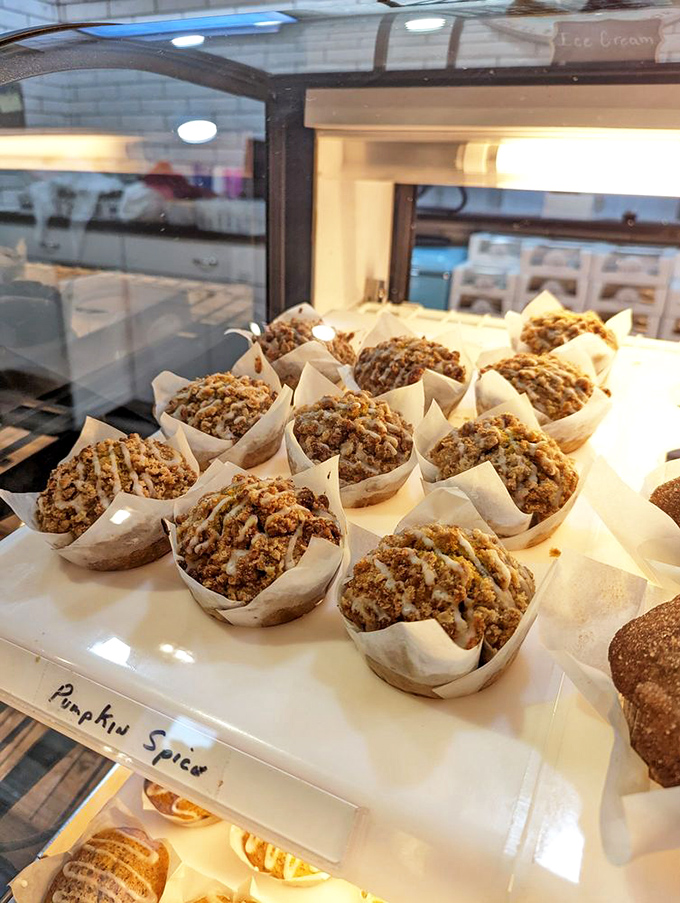 Pumpkin spice muffins lined up like eager contestants in a baking show. Spoiler alert: they're all winners in my book.