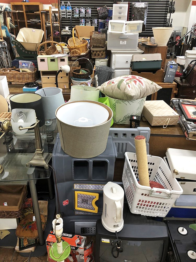 The furniture forest, where chairs of all personalities gather. That teal rocker might have once witnessed family dinners or late-night reading sessions.