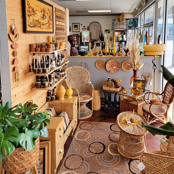 Rattan paradise! These woven wonders transport you straight to a 1970s sunroom where macram&eacute; and monstera plants reign supreme.