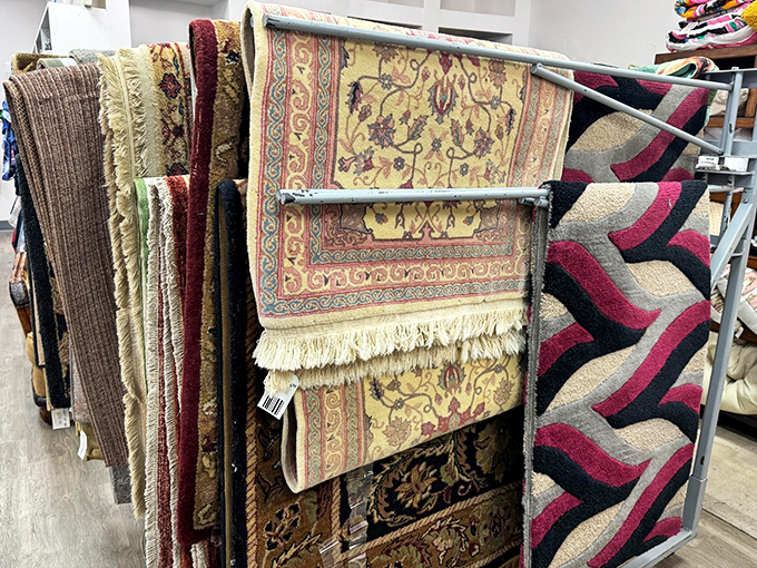 The rug selection alone is worth the trip. Like walking through a textile museum where you can actually take the exhibits home.