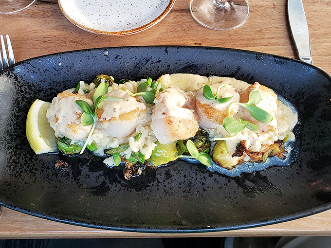 Scallops so perfectly seared they should be in a seafood textbook. Nestled on a bed of vegetables with a sauce that demands bread for sopping.