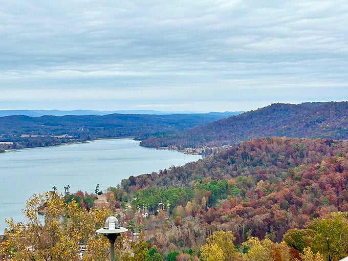 Autumn's masterpiece on full display. Nature showing off like it's auditioning for a calendar photoshoot.
