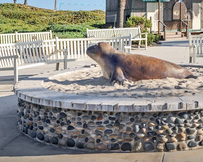 This seal sculpture pays homage to Carpinteria's famous harbor seal sanctuary. A stone reminder that we're just visitors in their coastal neighborhood.
