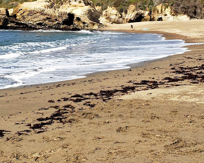 The kind of beach that makes you want to cancel all your appointments for the week. Footprints optional, wonder mandatory.