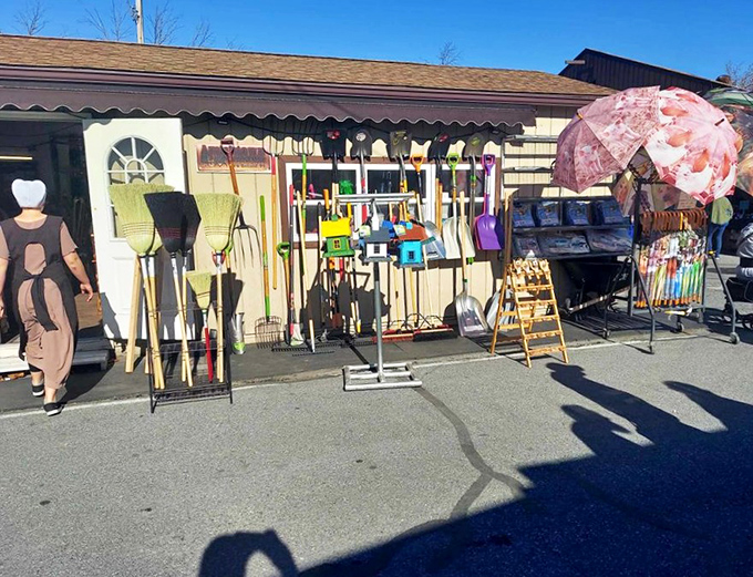 The practical meets the whimsical &ndash; garden tools that promise productivity alongside umbrellas that guarantee you'll never blend in during a rainstorm.