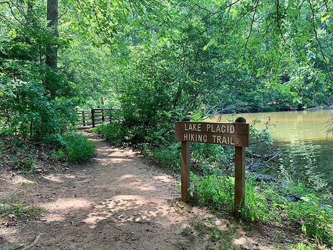 The Lake Placid Trail sign promises adventures ahead, with dappled sunlight creating nature's own spotlight on the path.