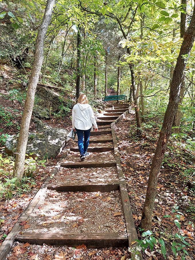 Autumn transforms Ha Ha Tonka's trails into nature's yellow brick road. Follow it and you might not find Oz, but something equally magical.