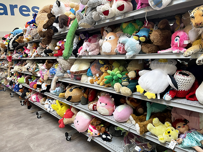 Stuffed animal adoption center: where gently-loved teddy bears and forgotten Pok&eacute;mon await their chance at a second childhood.