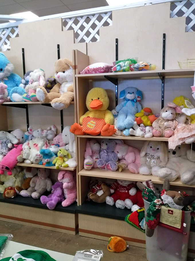 Stuffed animal paradise &ndash; where abandoned teddy bears find new homes and children discover pre-loved cuddle buddies with built-in character.