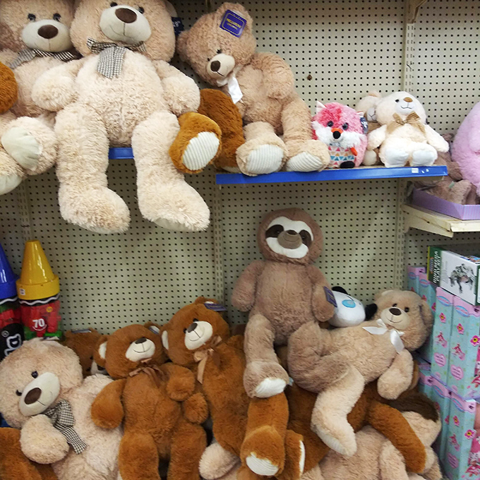 Teddy bears await adoption at prices that won't make you growl&mdash;soft companions ready to comfort without the sticker shock.