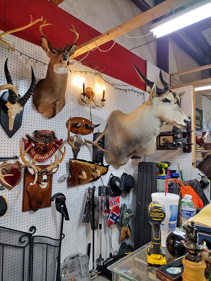 The taxidermy section isn't for everyone, but where else can you find a deer that's guaranteed not to eat your garden?