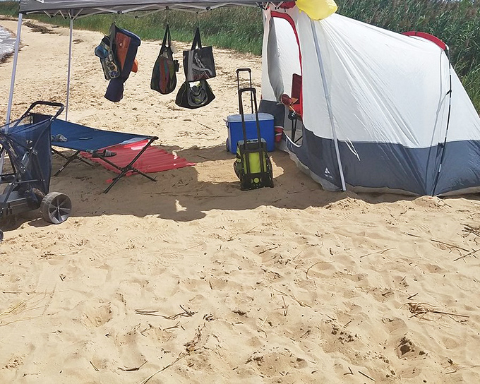 Beach camping done right! This cozy setup proves you don't need luxury to experience the richest pleasures of coastal living.
