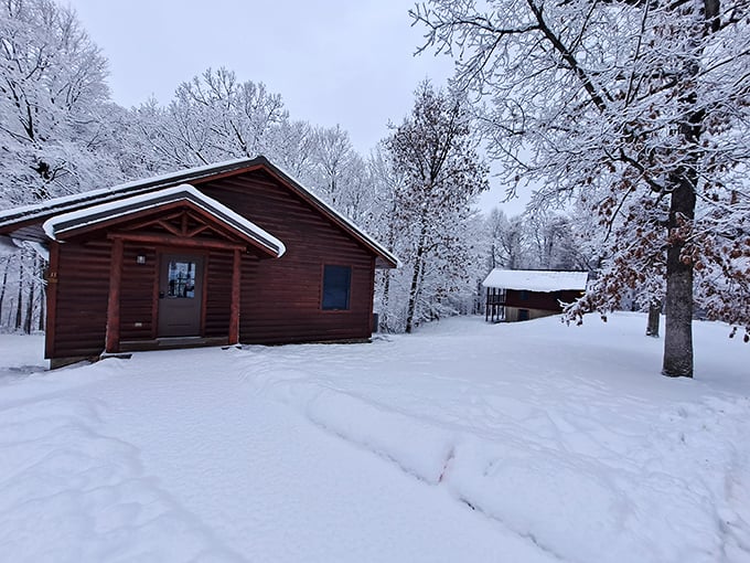 Winter transforms the park into a snow globe scene that makes you believe in magic again. 