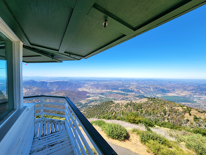 The vista from the lookout stretches to the horizon, where land meets sky in a hazy embrace. Your social media followers are about to experience severe envy.