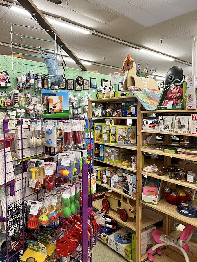 Childhood memories stacked neatly on wooden shelves. Those toys didn't need batteries or Wi-Fi to spark imagination&mdash;just a kid with time to play.