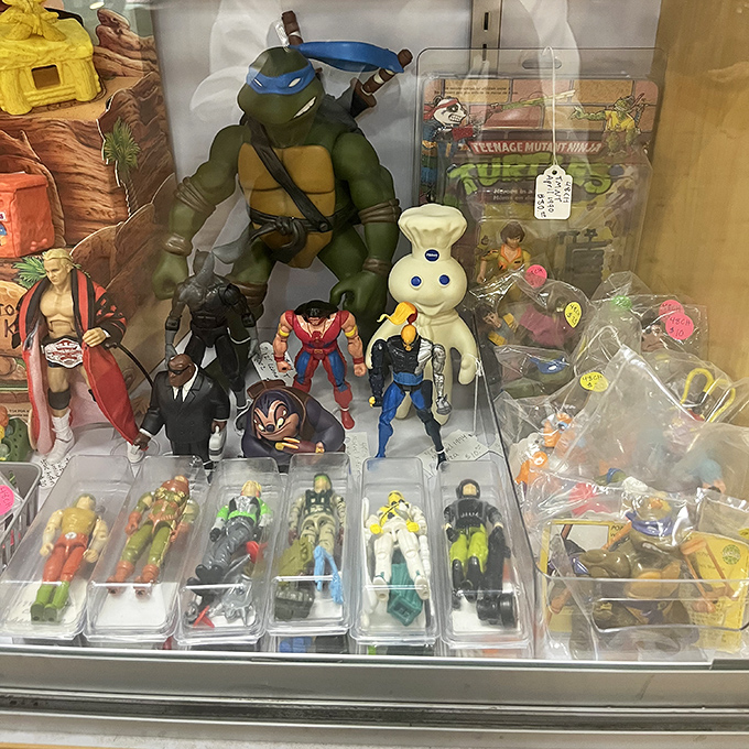 Leonardo leads a plastic battalion of childhood heroes, standing guard over memories that span generations of Saturday morning cartoons.