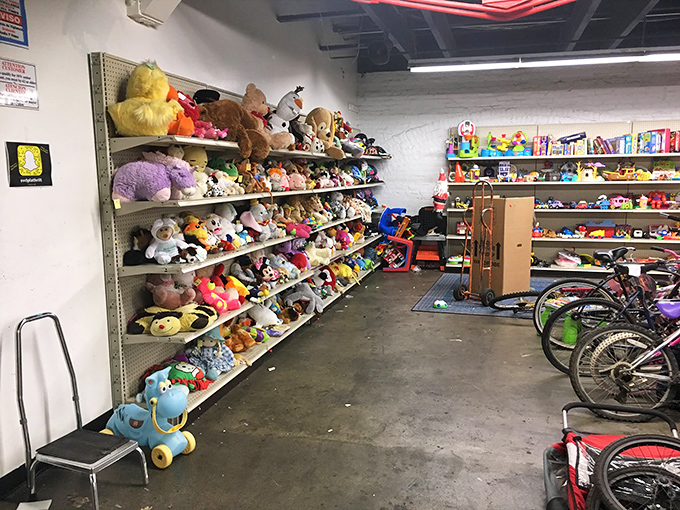 Stuffed animal adoption center where forgotten teddy bears and plush pals wait hopefully for their second chance at being loved by tiny humans.
