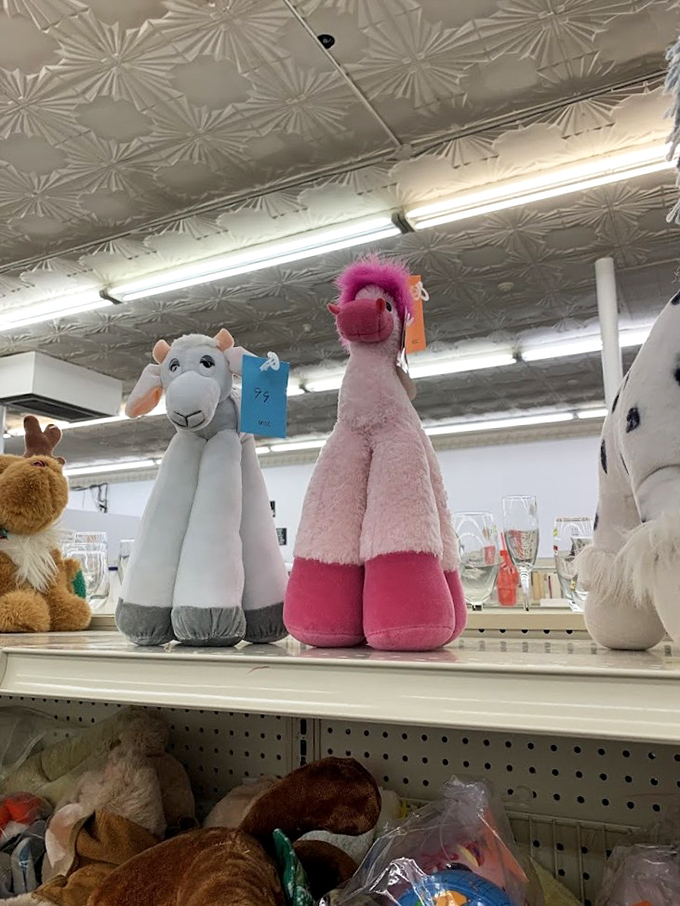 Stuffed animals with button eyes that have seen it all wait patiently for new homes. That pink flamingo might just become your child's (or let's be honest, your) new best friend.