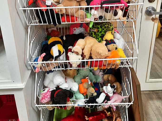 A menagerie of plush companions awaits adoption. These stuffed animals offer cuddles without the vet bills&mdash;a win-win situation.