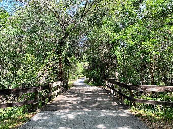 This tree-canopied trail proves that sometimes the best treasures in Arcadia aren't found in shops but along peaceful paths where nature does the decorating.