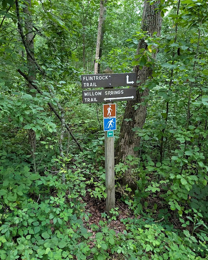 Trail markers: the GPS of the pre-smartphone era. Choose your adventure, but remember—all paths lead to spectacular views.