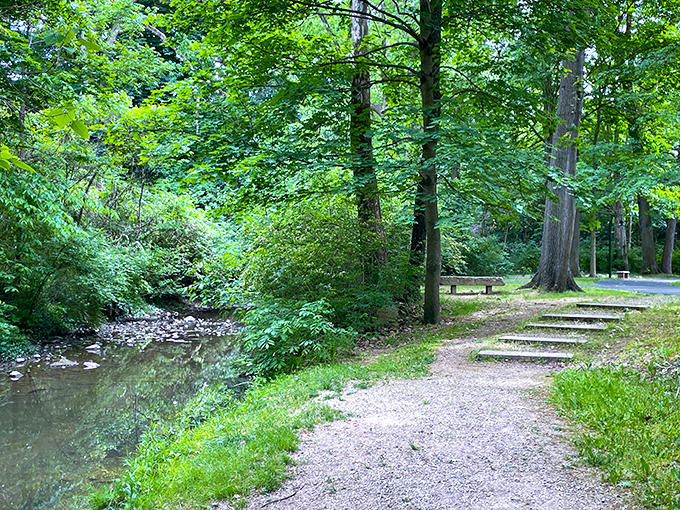 Wooded trails meander alongside gentle streams, offering peaceful retreats where the only traffic is the occasional squirrel crossing your path.