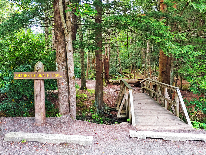 The infamous "Shades of Death Trail" welcomes hikers with a wooden bridge. Don't let the ominous name fool you &ndash; it's more enchanted forest than horror movie.