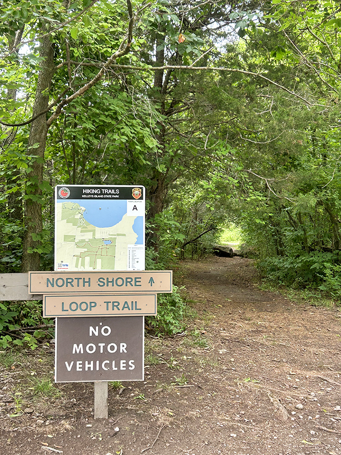 The North Shore Loop Trail beckons with promises of lakeside views and wildlife encounters&mdash;just follow the signs and leave your car troubles behind.