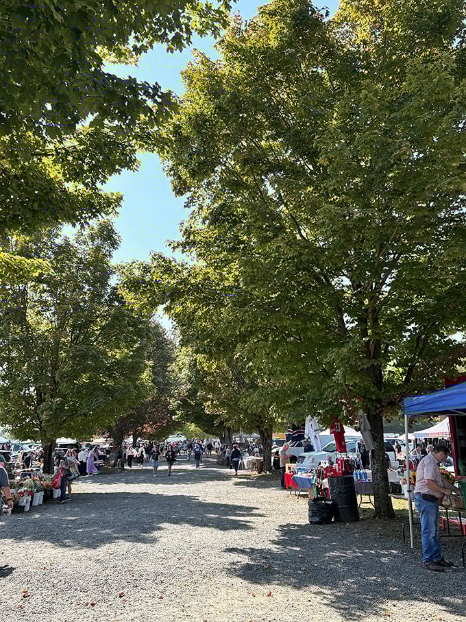 Dappled sunlight filters through the canopy of trees, creating nature's air conditioning for shoppers navigating this treasure-filled maze on a summer Sunday.