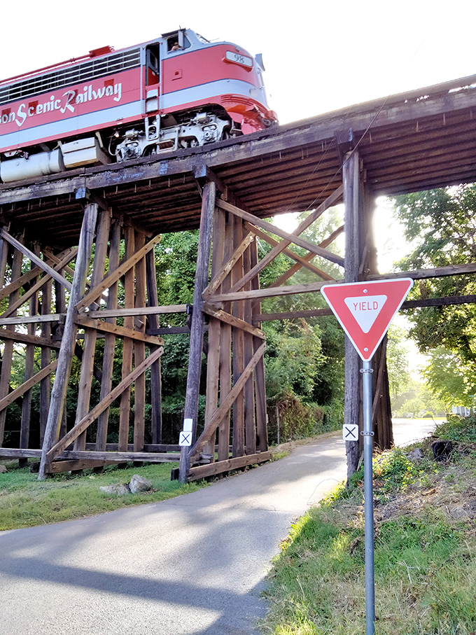Engineering marvel meets natural beauty as the bright red engine crosses a wooden trestle that seems impossibly delicate for such magnificent machinery.