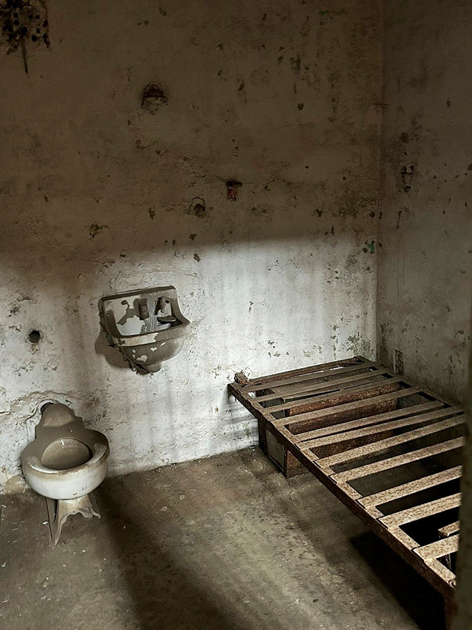 Home sweet home? The stark reality of prison life is captured in this cell's bare essentials—a metal bed frame and toilet with zero privacy.