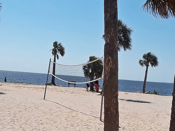 Where competitive spirits meet sandy landings &ndash; volleyball with a view that beats any gym.