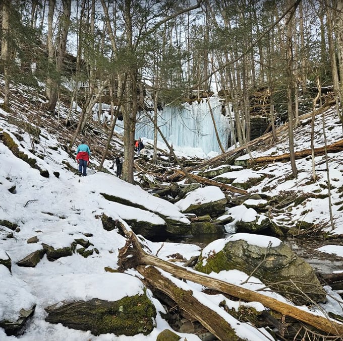 Winter transforms the falls into a frozen fantasy, where water pauses mid-descent as if time itself needed a moment to appreciate the view.